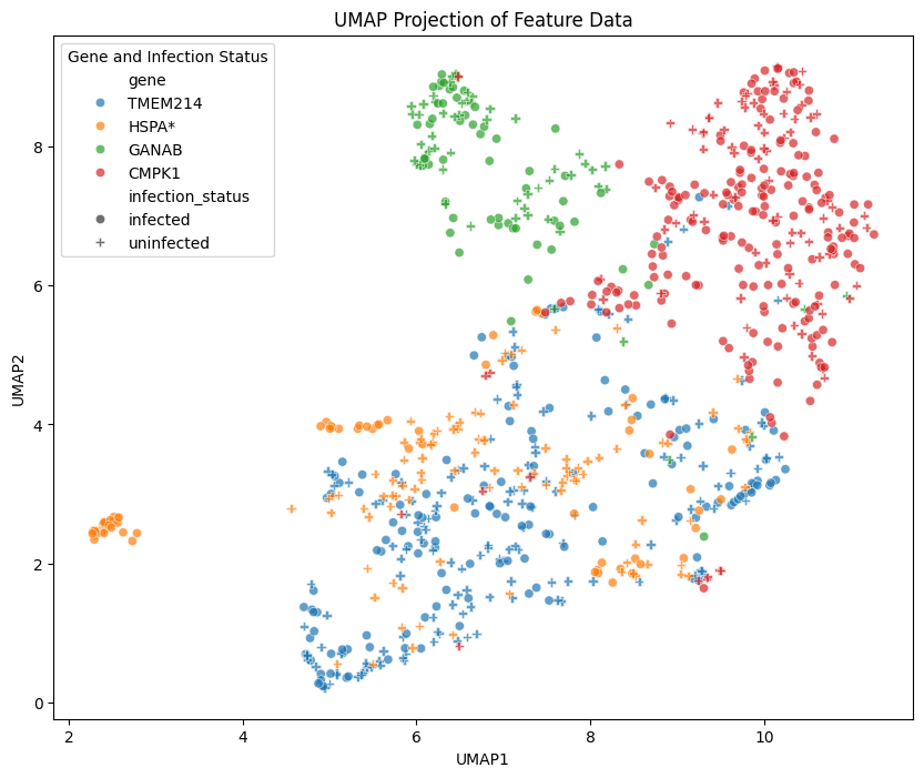 Virtual Cell Platform | Examining protein localization changes ...
