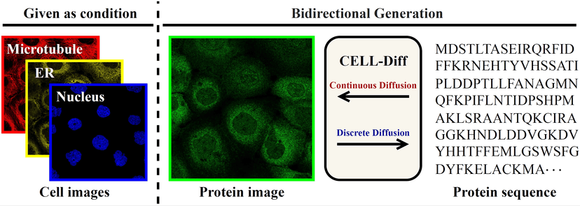 CELL-Diff Quickstart | Virtual Cells Platform