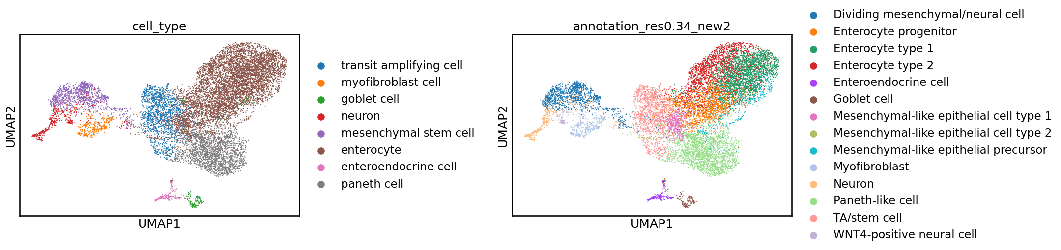scGPT Quickstart | Virtual Cells Platform