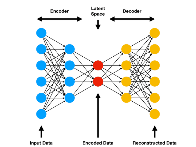 Analyze Single-Cell Transcriptomics Data in Rare Disease With scVI ...